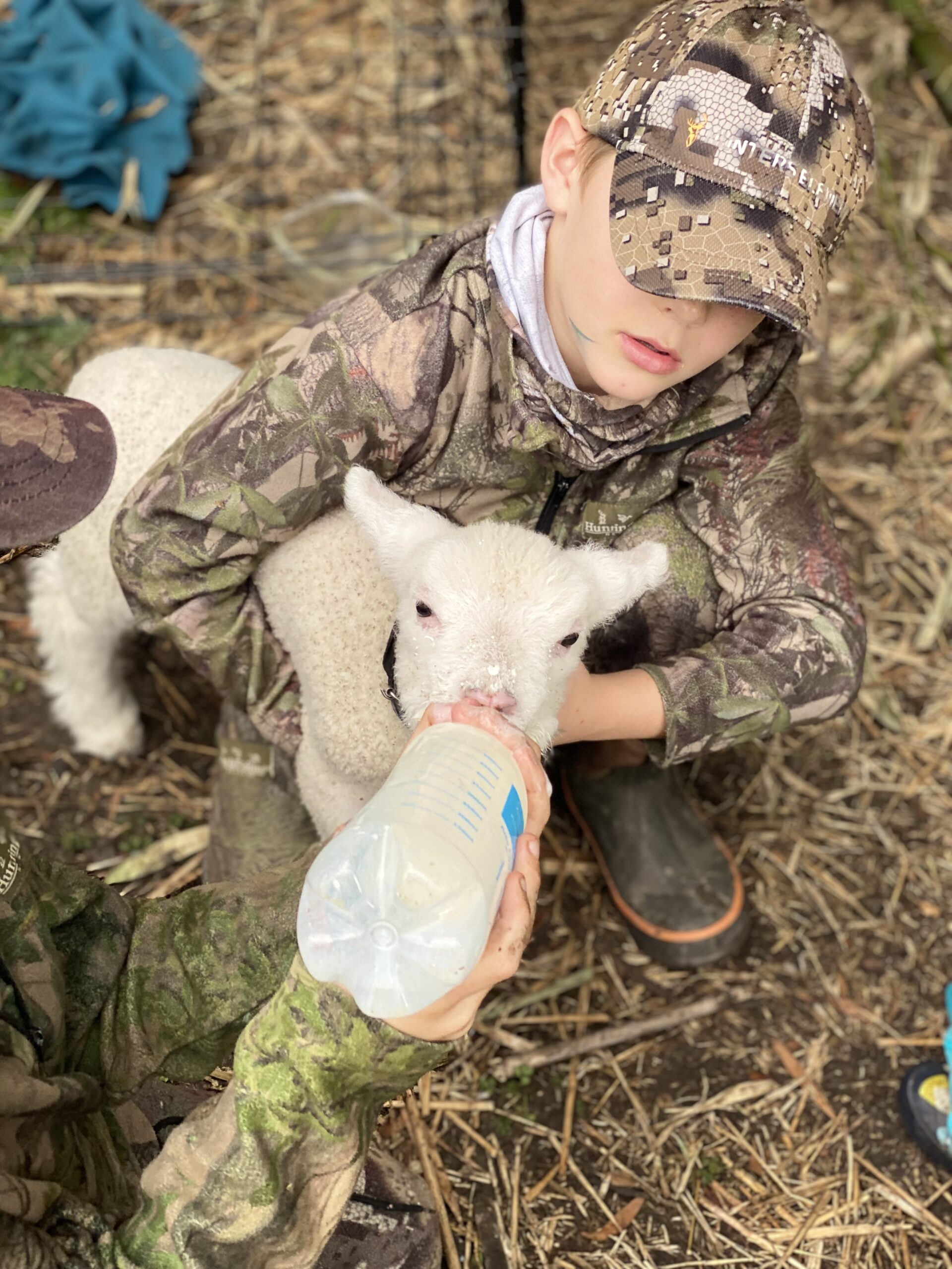 Wildly Curious – Education outside the classroom for children inspired ...